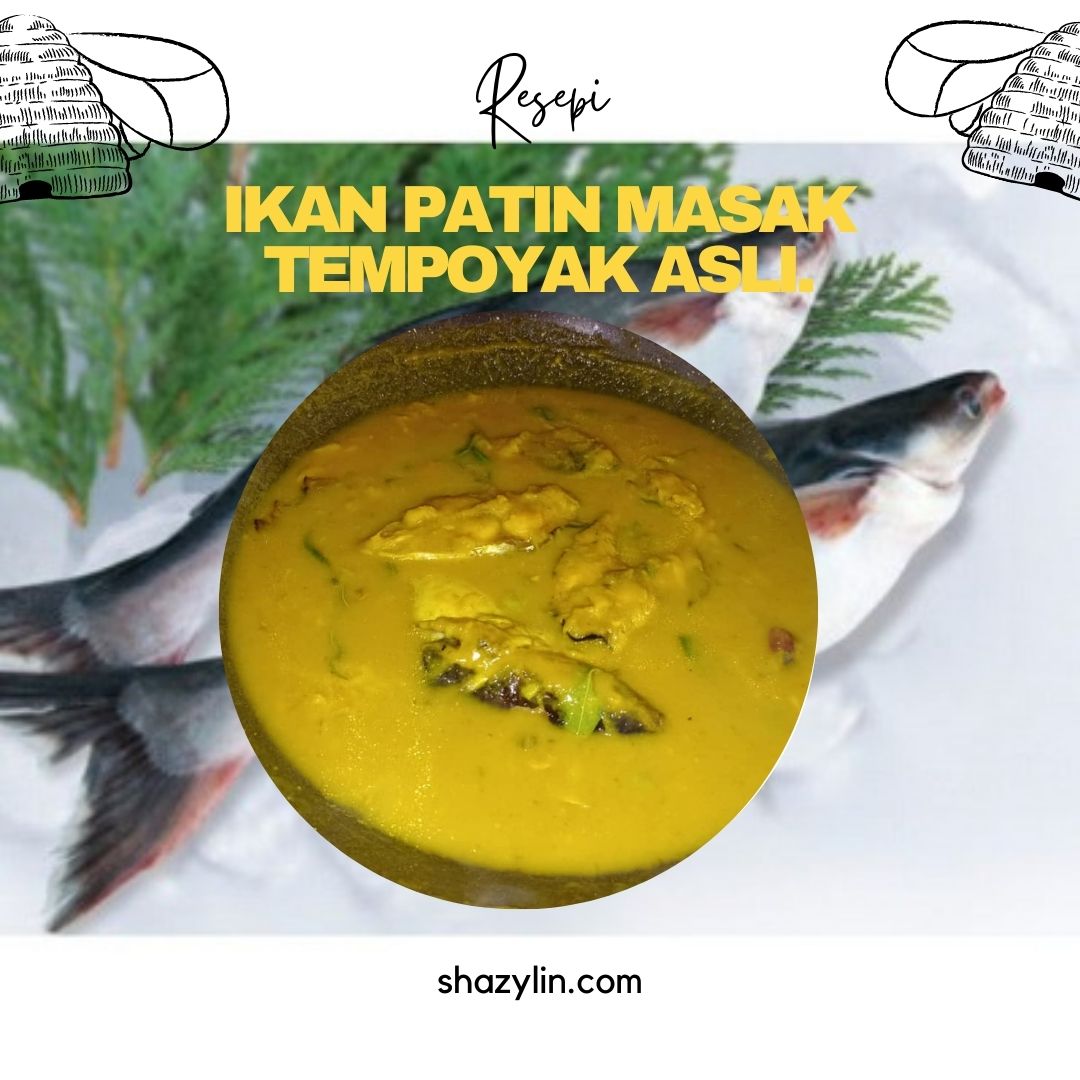 Ikan Patin Masak Tempoyak Asli. • Shazylin.com